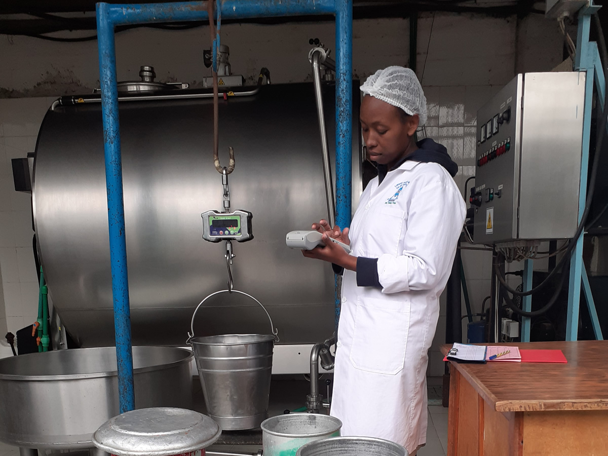 Launching soon – LIMURU DAIRY FARMERS CO-OPERATIVE SOCIETY LTD.